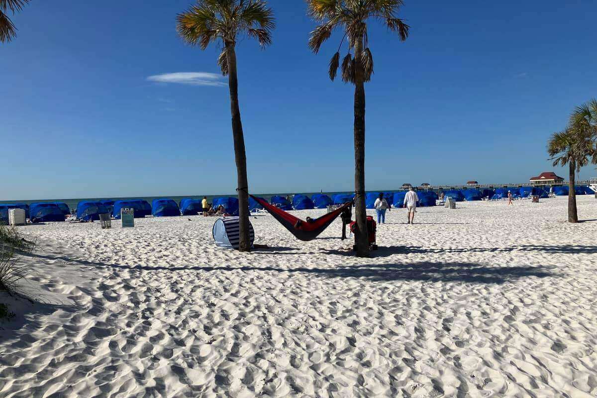 Clearwater Short-Term Rental Rules and Regulations